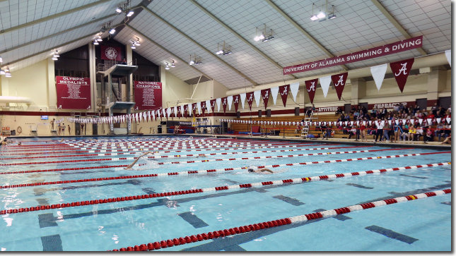 Bama Gold Swim Camp | at University of Alabama | Tuscaloosa, AL